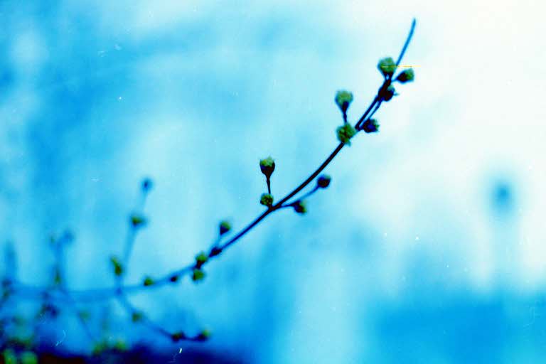 Webinars | Patient Navigator Training Collaborative